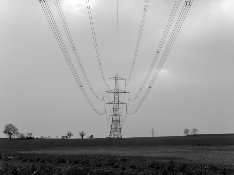 A quick perspective of the future – PoetryPix