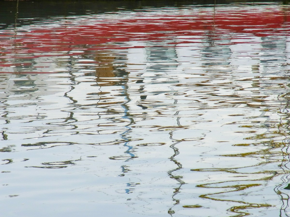 Distortions in water – PoetryPix