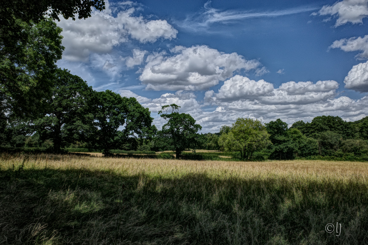 A meadow meander in HDR – PoetryPix