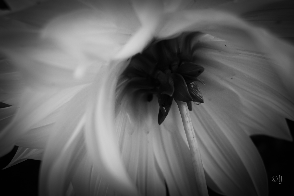 Form over colour – PoetryPix