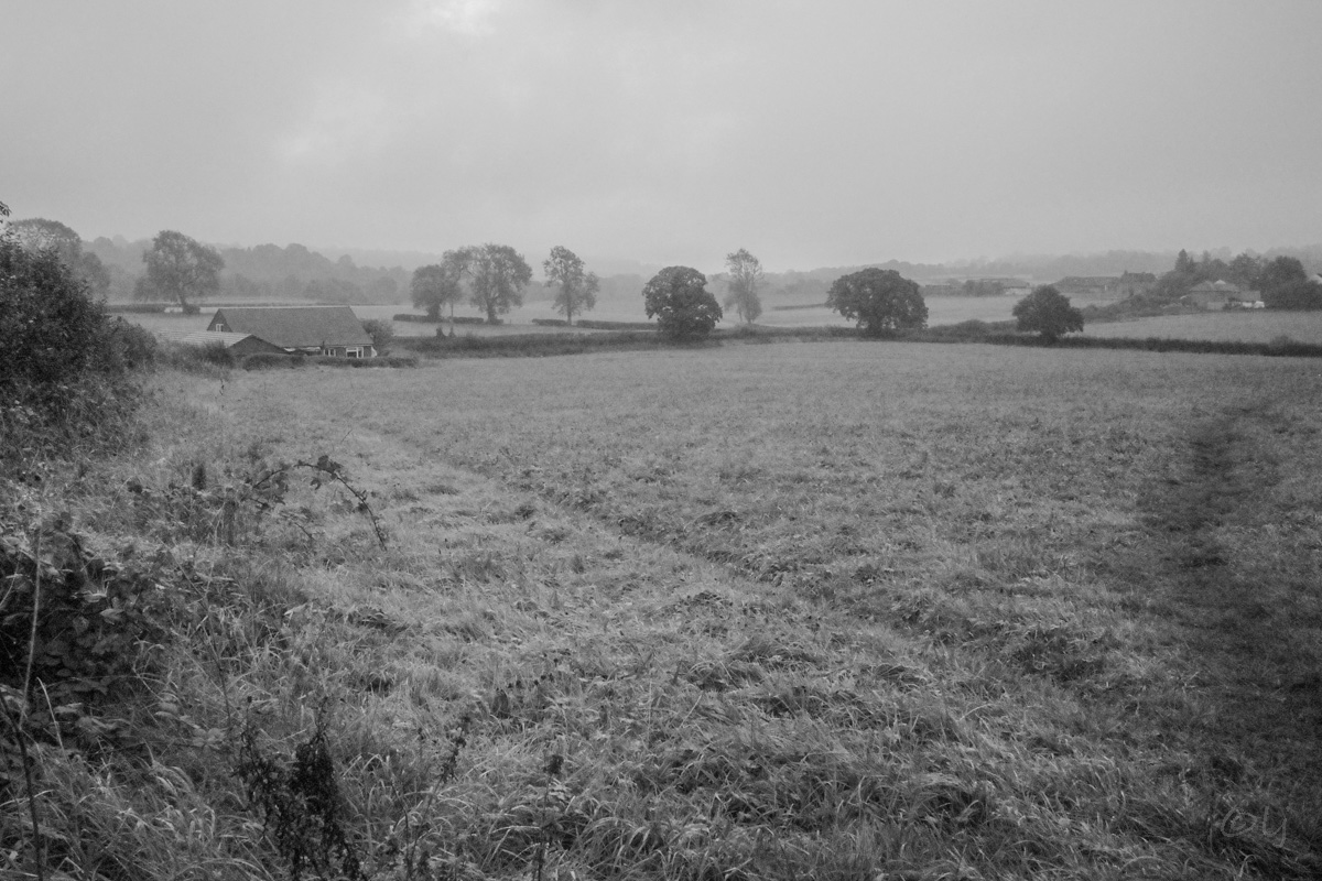 Mizzle, drizzle and Smur – PoetryPix