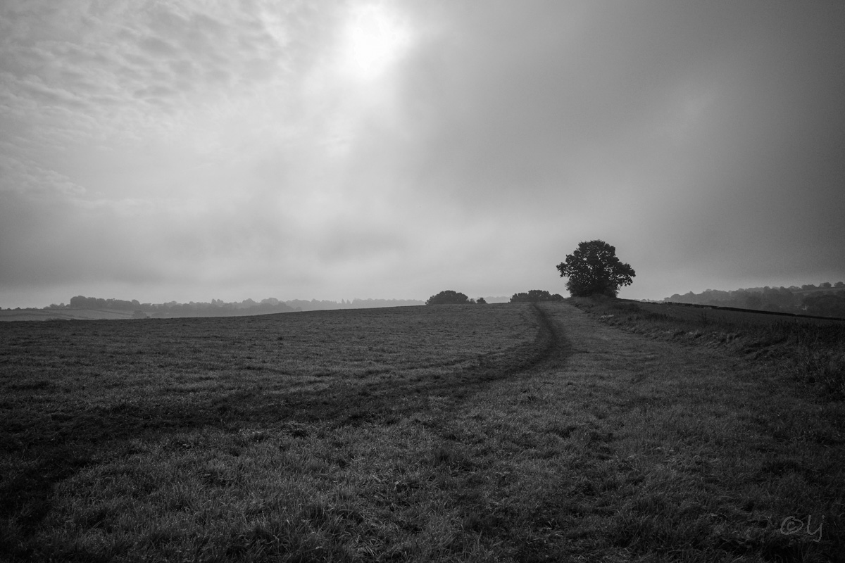 Mizzle, drizzle and Smur – PoetryPix