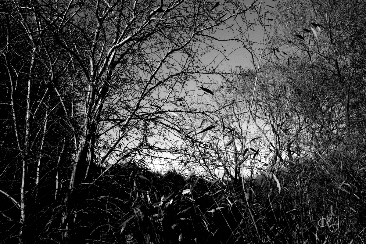 Characterising abstract art in B&W photos – PoetryPix