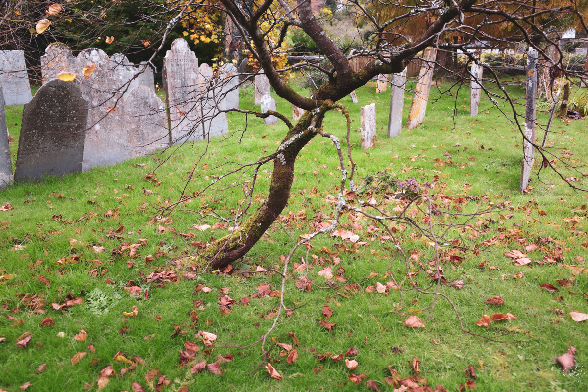 October is – PoetryPix
