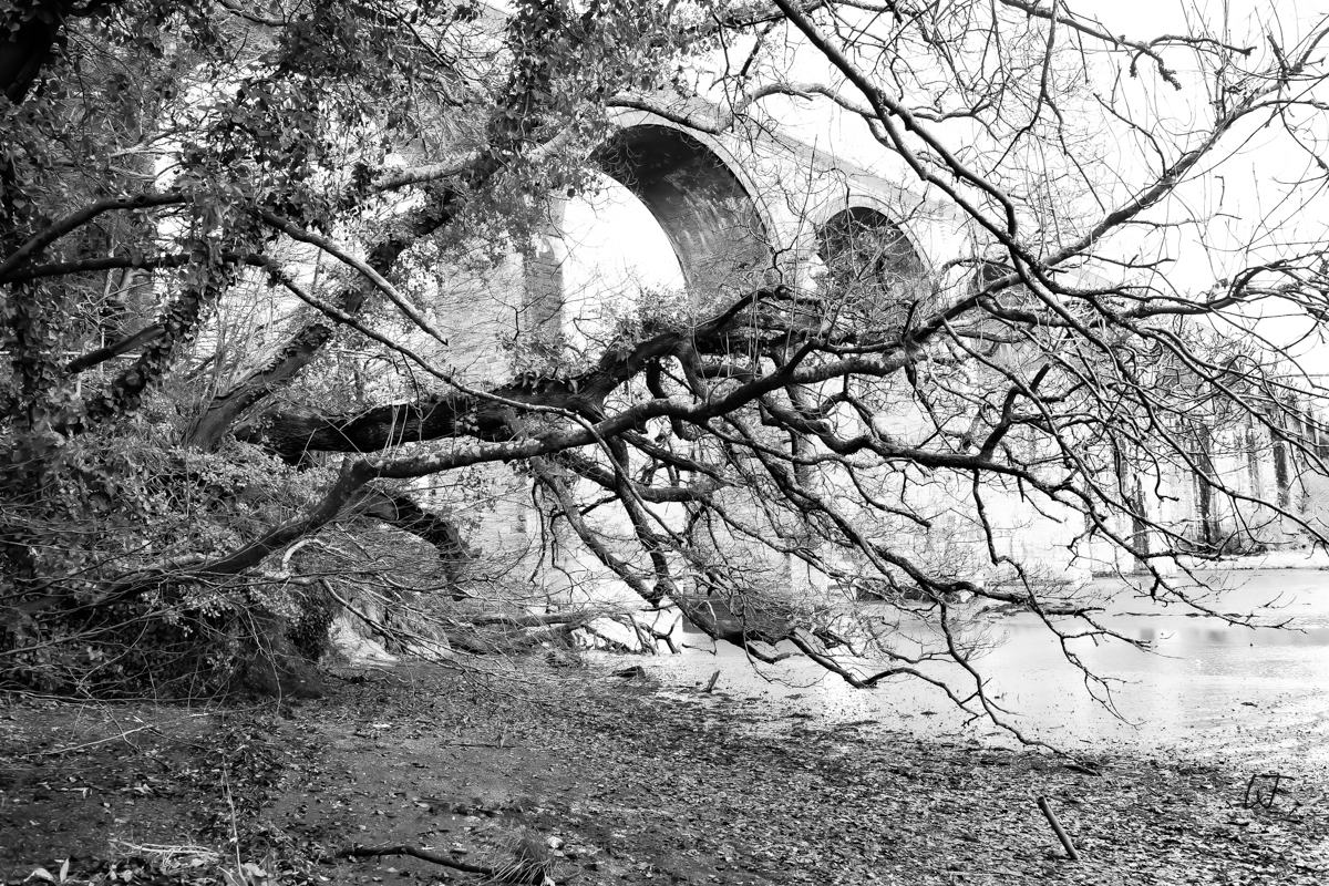 Resolved – PoetryPix